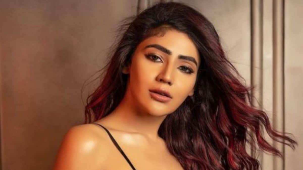 Bigg Boss 17: Soniya Bansal Stuns All With Her Hot Looks In Premiere; Know Who She Is ...