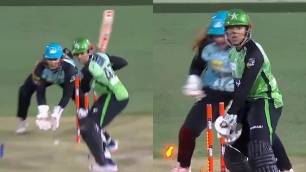 Watch: Charli Knott Produces Magical Delivery to Leave Batter Shocked ...