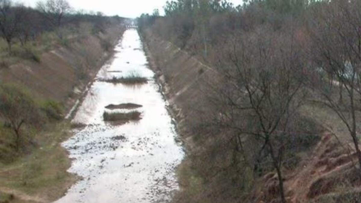 Opinion | SYL Canal Debate: Punjab Has Already Been Exporting ‘Virtual ...