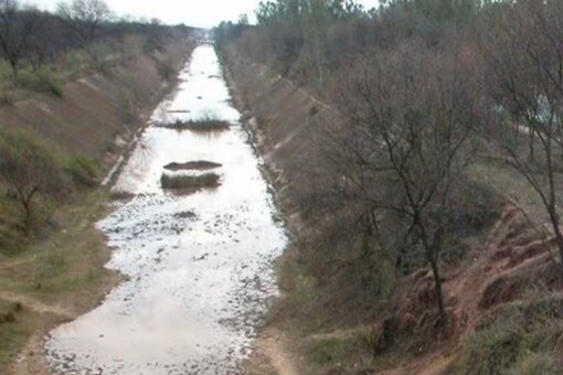 Opinion | SYL Canal Debate: Punjab Has Already Been Exporting ‘Virtual ...