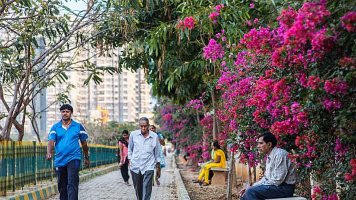 How Bengaluru Resident's Heartwarming Encounter With Locals Reaffirmed ...