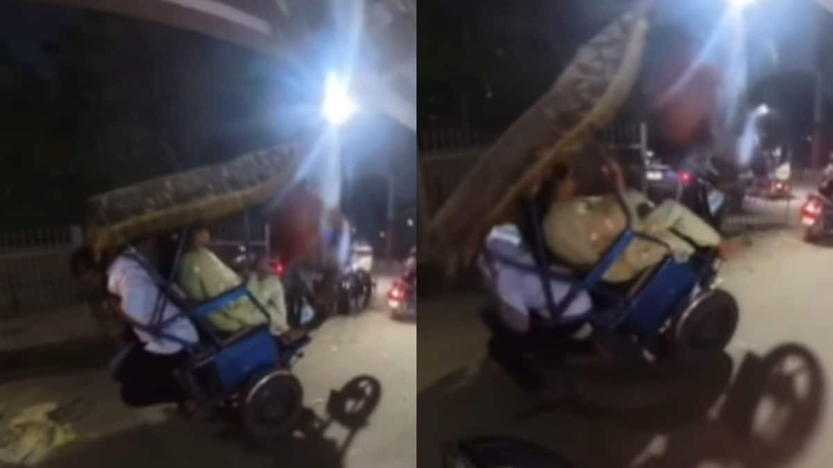 'Heavy Driver': Delhi E-rickshaw Turns Over Due to Overloaded ...