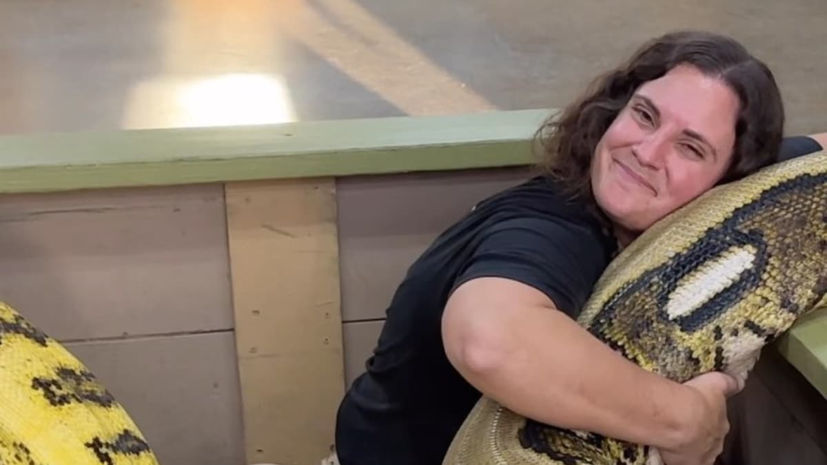 'Oh My God,' Says Internet As Woman Cuddles With Pythons In This Viral ...