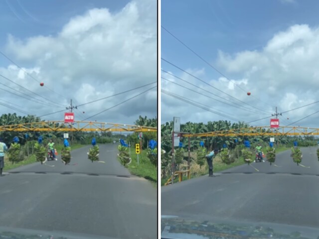 This Unique Way Of Getting Bananas Transported In Costa Rica Is Going ...