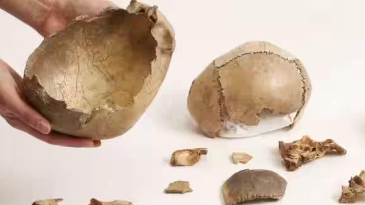 Europeans Might Have Eaten Their Dead At Funerals 15,000 Years Ago ...