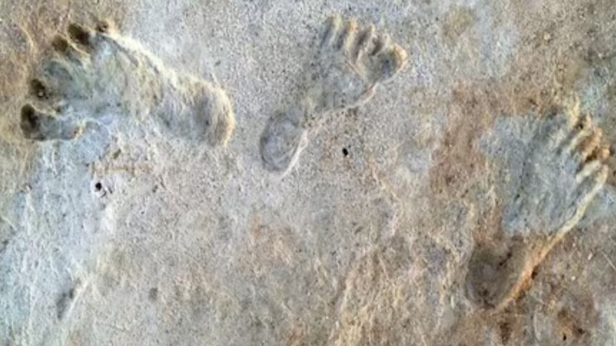 Scientists Discover 23,000-year-old Human Footprints In USA’s New ...