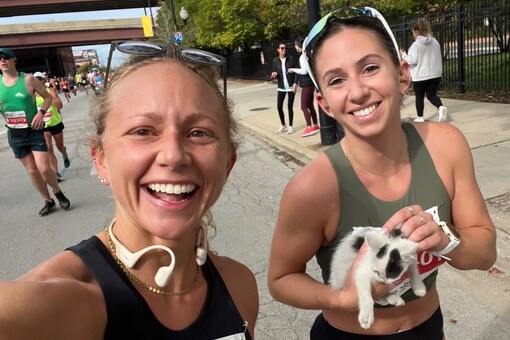 Chicago Marathon Runner Stops Midway To Rescue Kitten, Internet ...