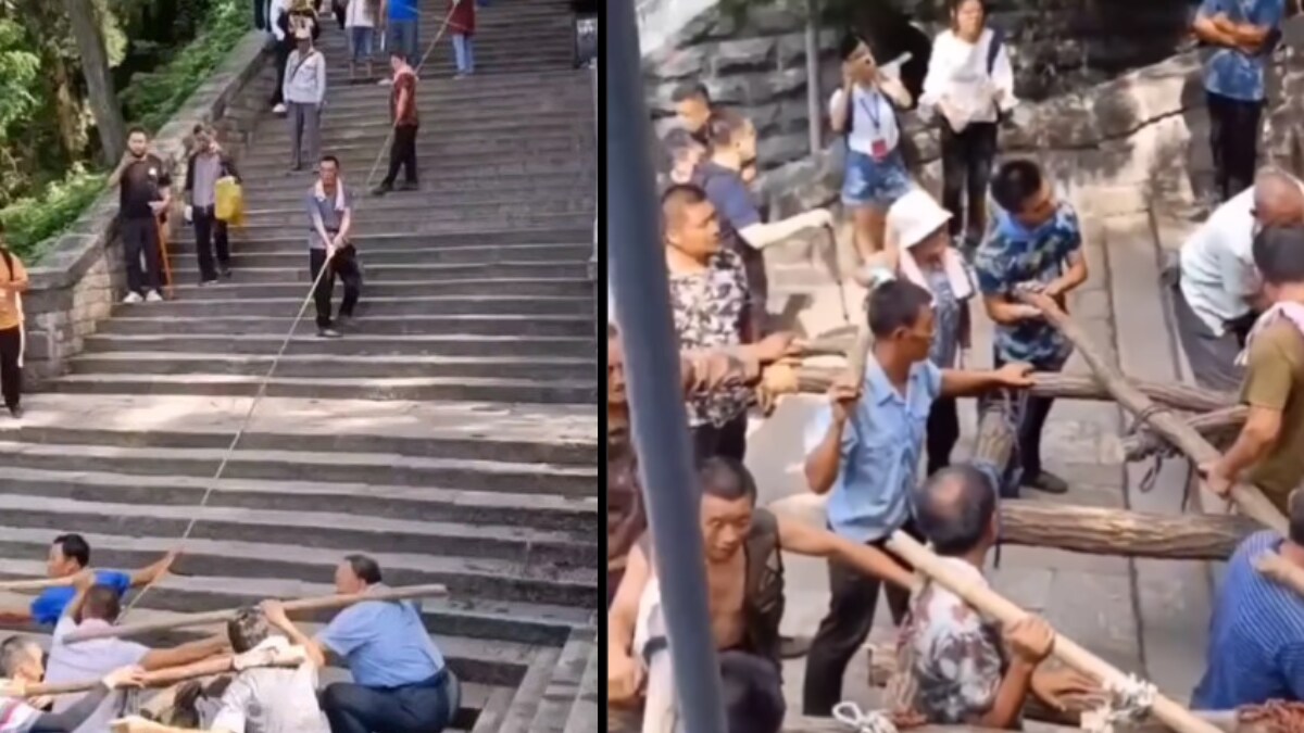 This Video Is All About Power Of Unity And Teamwork - News18