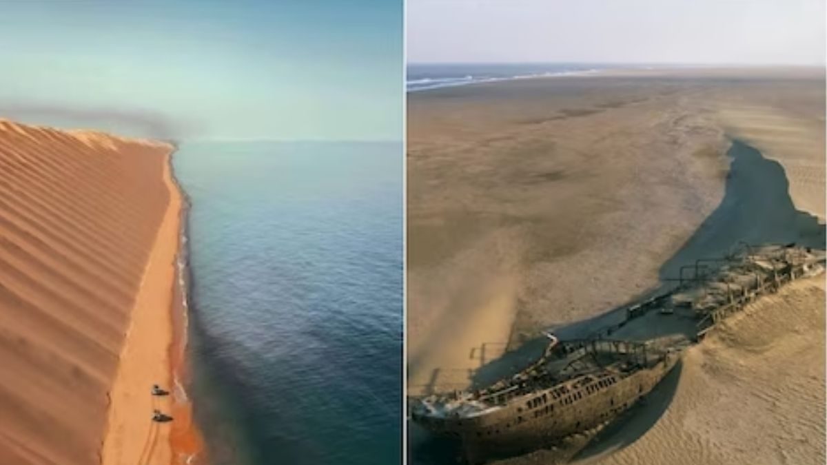 This African Beach, Also Called 'Skeleton Coast', Has Witnessed 500 ...