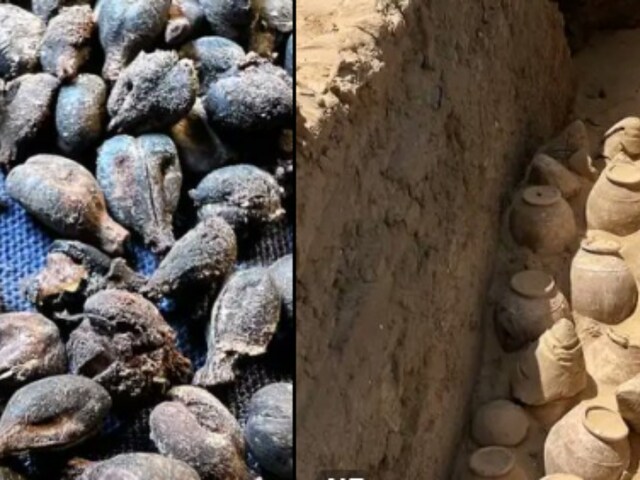 Researchers Discover 5,000-Year-Old Wine From The Tomb Of Egypt's First ...