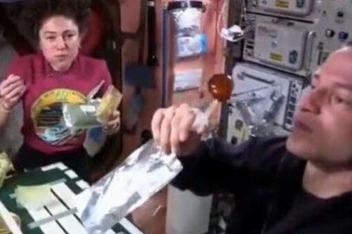 Do Astronauts Really Eat Algae In Space? Here’s The Truth - News18