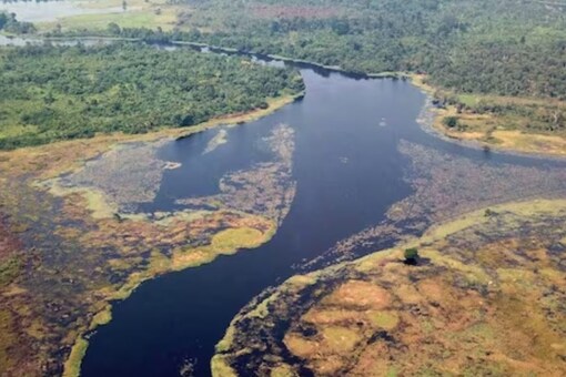 What Makes Congo's Ruki The 'Blackest' River In The World - News18