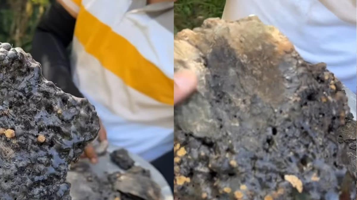 Viral Video Shows How Shilajit Is Made In The Mountains | Viral News ...