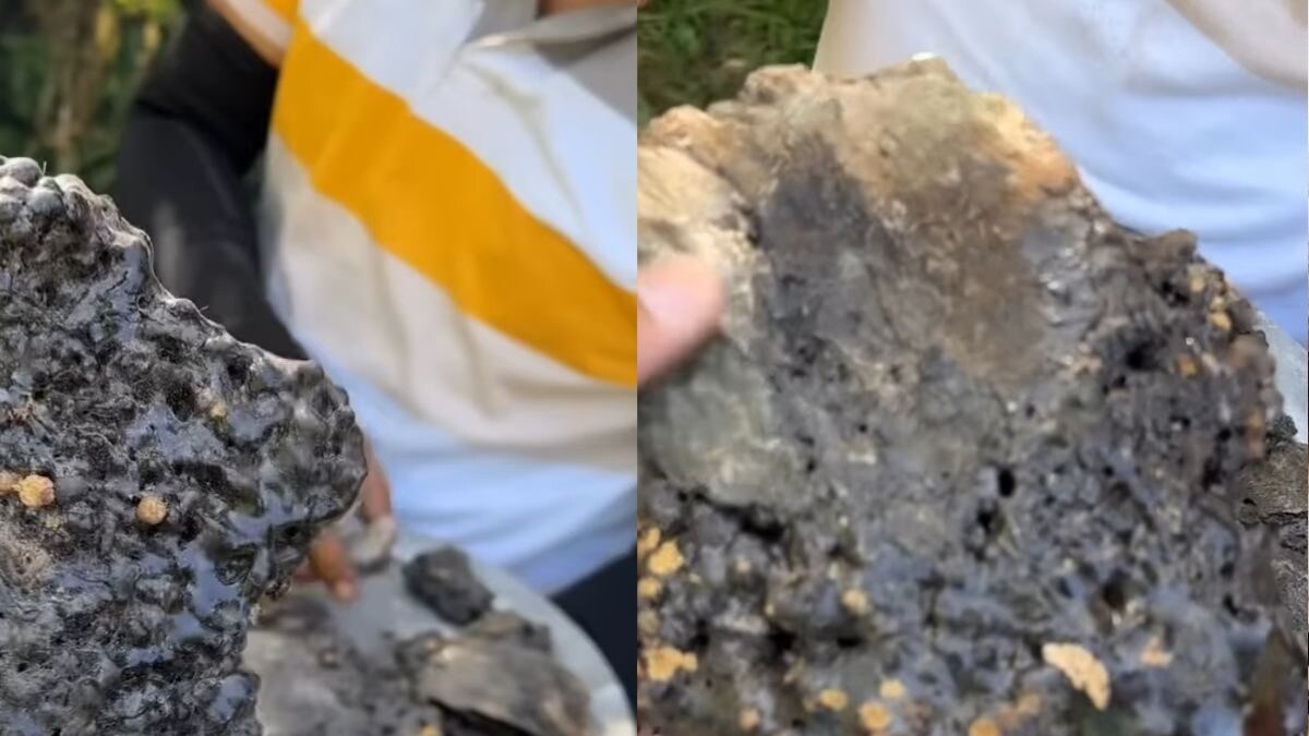 Viral Video Shows How Shilajit Is Made In The Mountains - News18