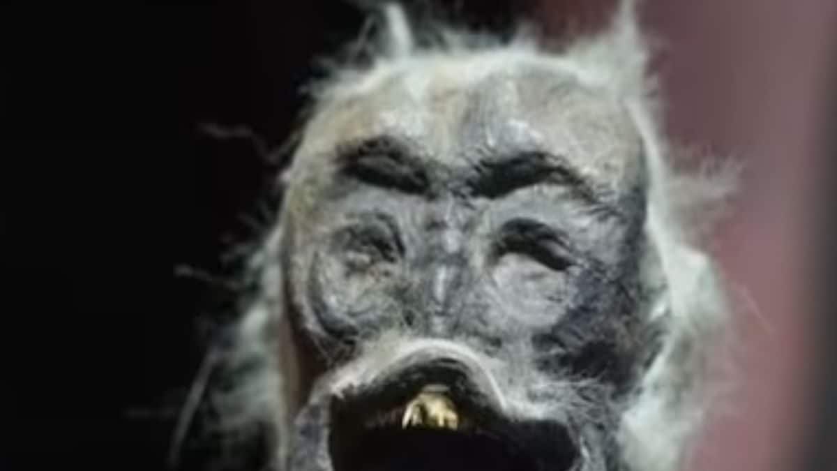 Scientists To Unravel Mystery Behind '3-species', A Mermaid-like ...