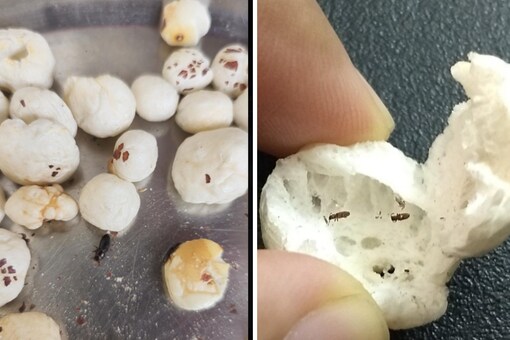 Trending: Man Finds Insects In Makhana Packet Sent By Flipkart - News18