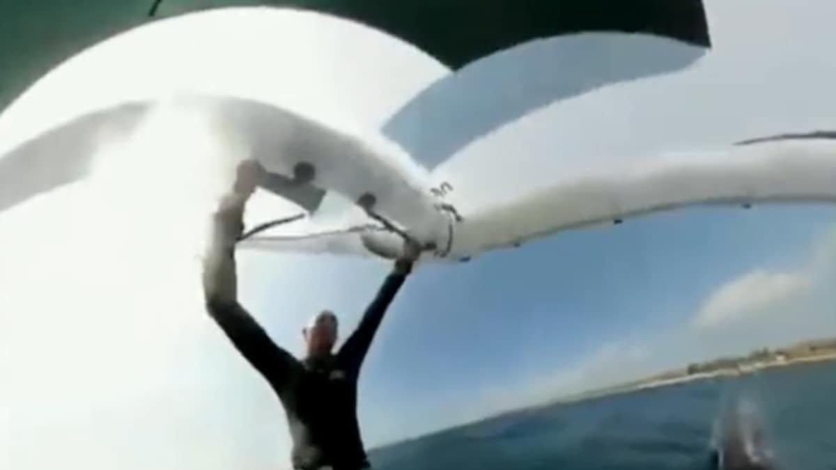 Chilling Video Captures Windsurfer's Collision With A Whale | Viral ...