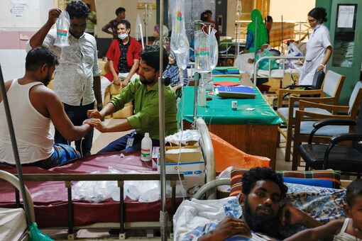 WHO Scientist Warns Dengue Will Grow in US, Europe, and Africa This ...