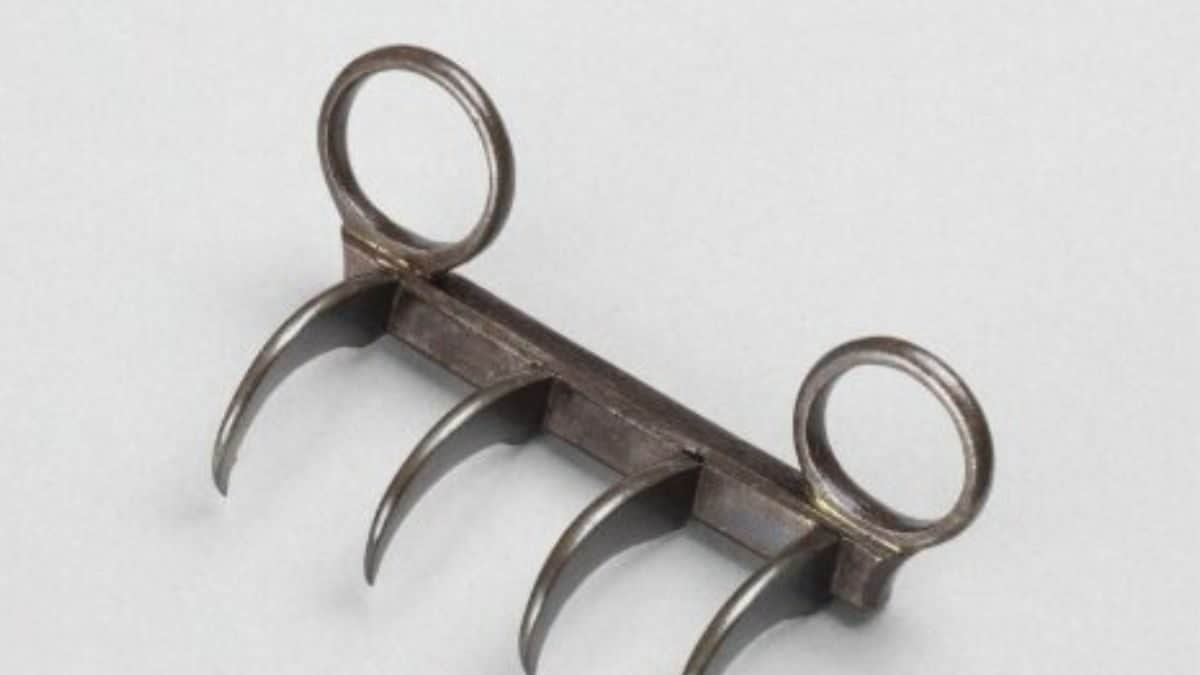 Shivaji's 'Tiger Claws' to Come to India for His 350th Coronation ...