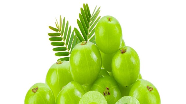 Amla Health Benefits: Here’s How To Consume This Superfood Rich In ...