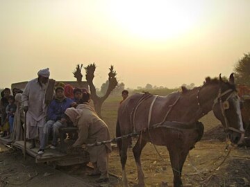 All About Pakistan's Horse-pulled Ghoda Train Built By Father Of Modern ...