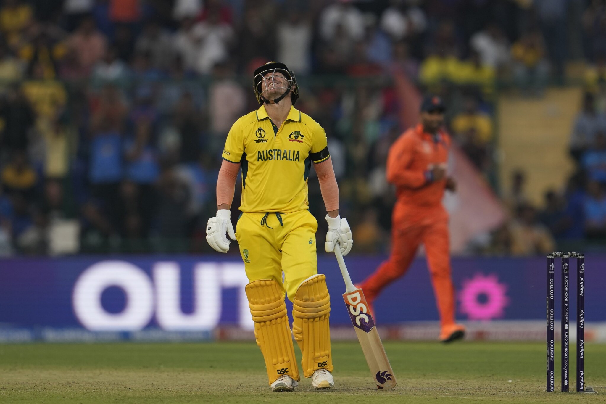 AUS vs NED in Photos: Maxwell, Warner and Zampa Shine After Record Win ...