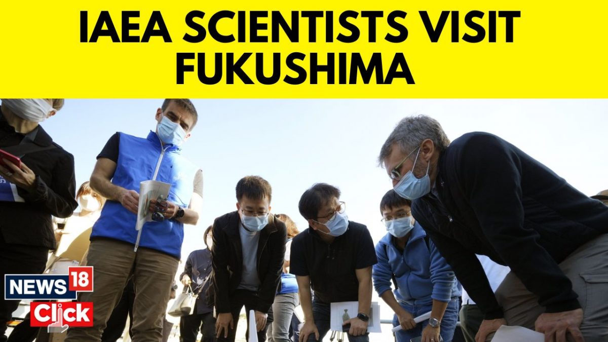 Scientists test Fukushima fish after nuclear plant water release - News18