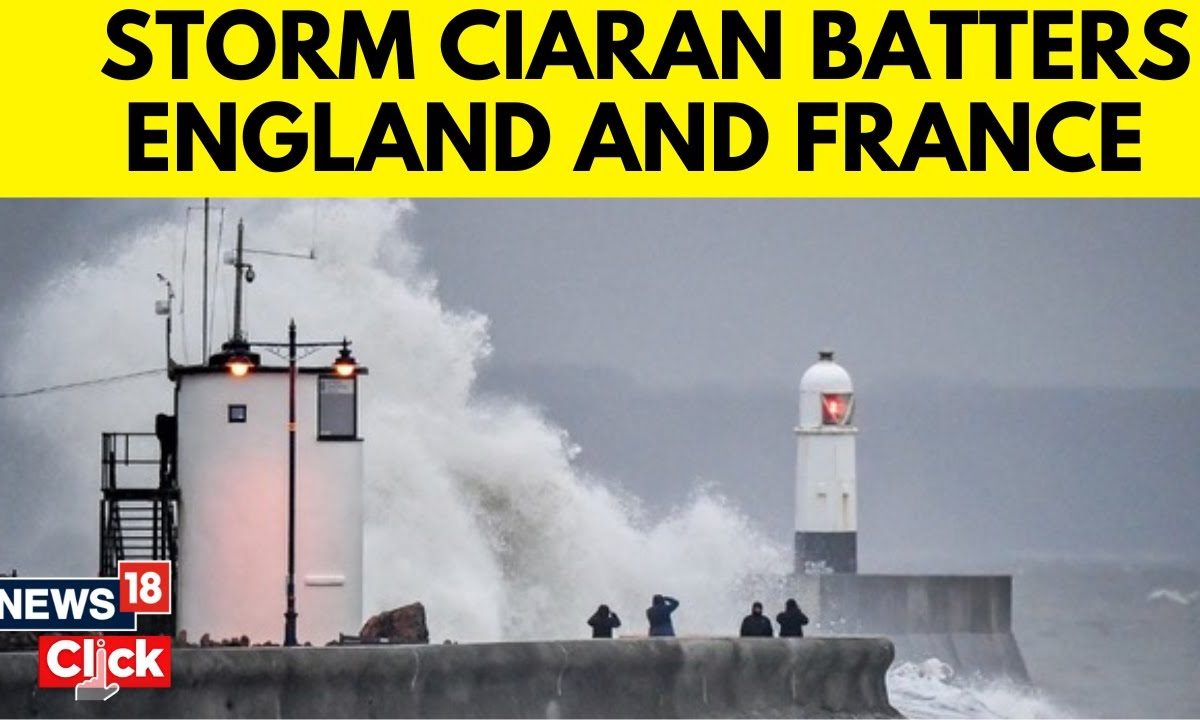 Storm Ciaran News | Fallen Trees, Damaged Homes As Storm Ciaran Lashes ...