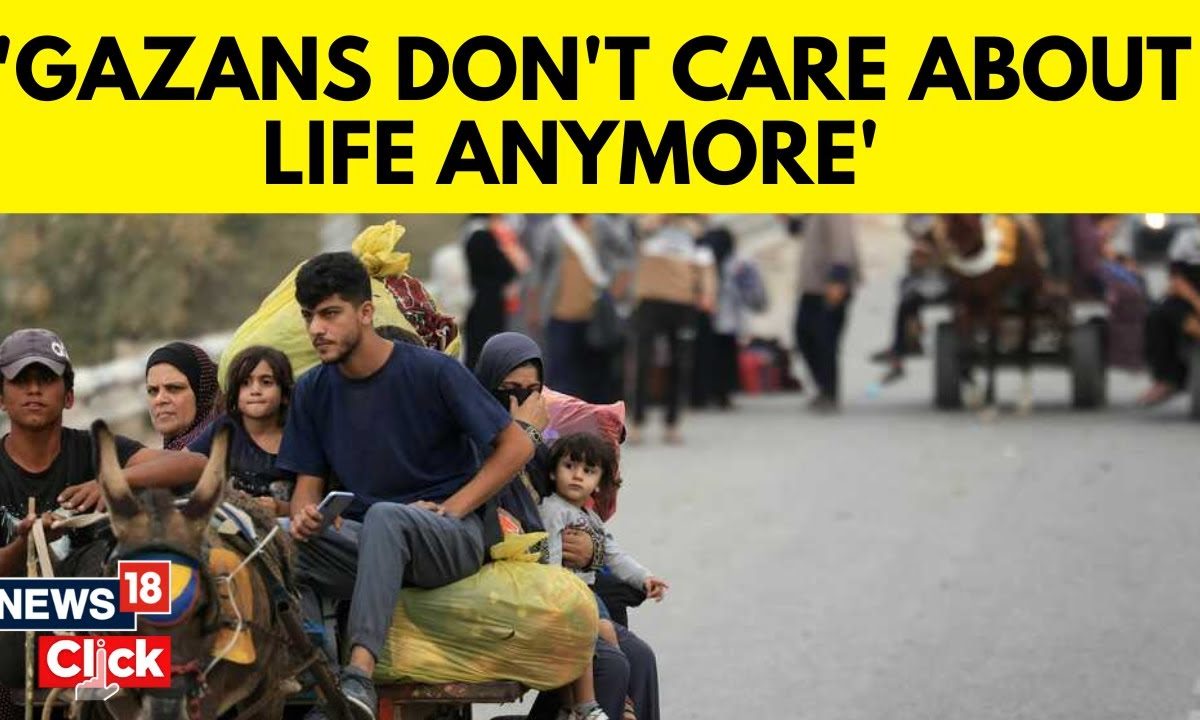 Displaced Gazans Live In Dust, Fear And Hunger | Israel Vs Palestine ...