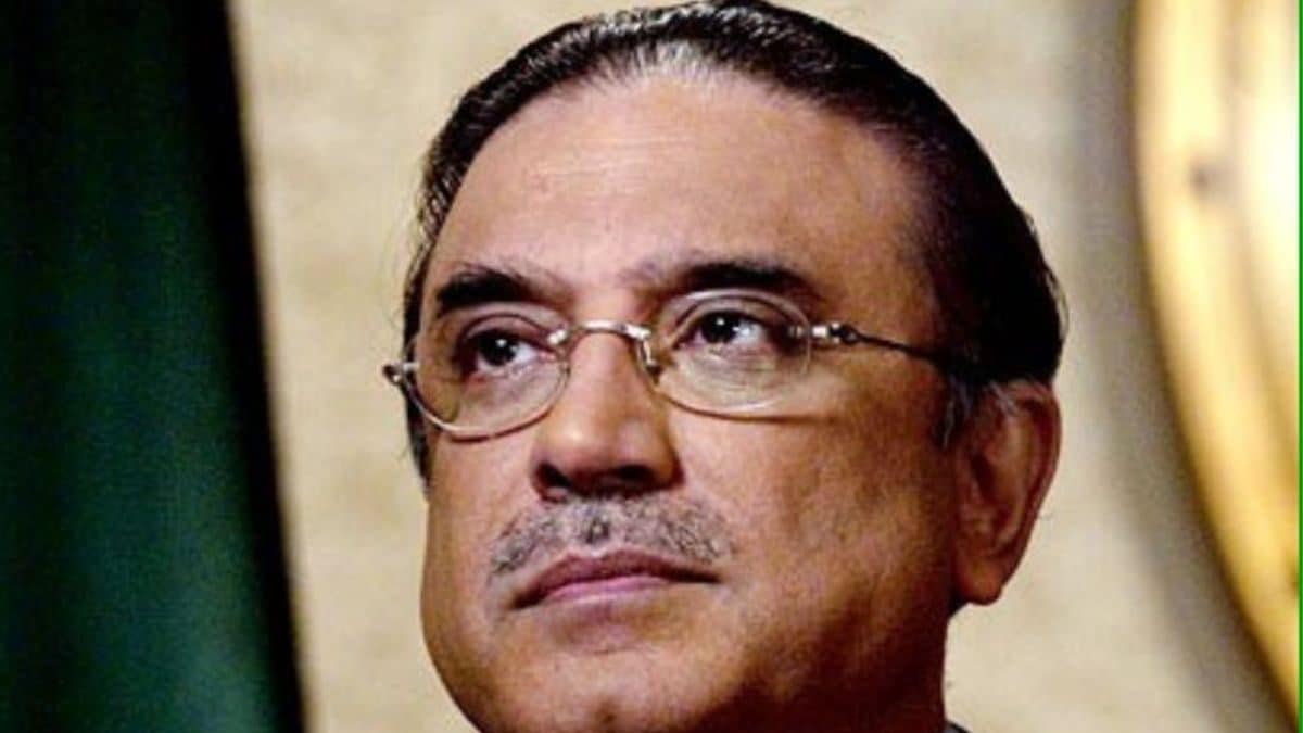 Asif Ali Zardari: PPP Should Get A Chance to Lead Pakistan; Son Bilawal ...