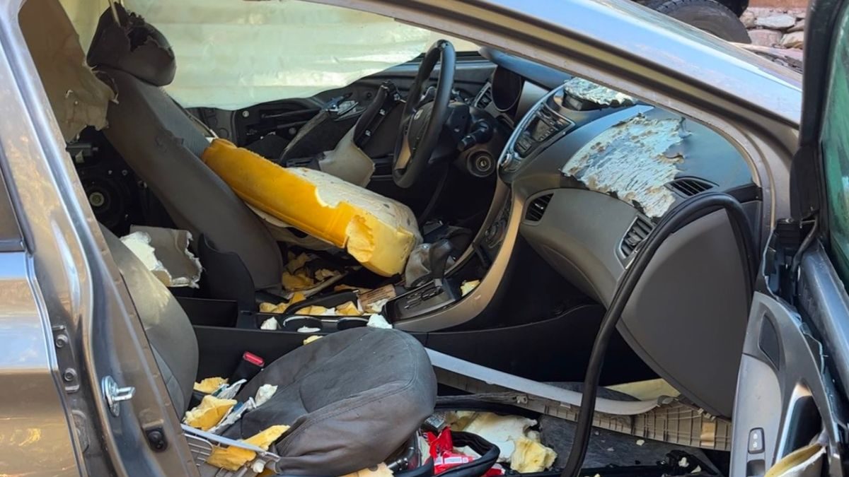 Why Should Humans Have All the Fun? Bear Breaks Into A Car To Relish ...