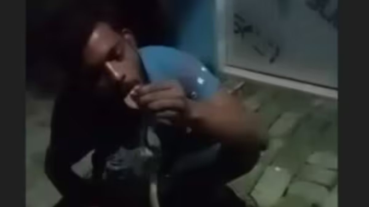 Drunk UP Man Calls Himself 'Father of Mahakal', Challenges Snake to ...