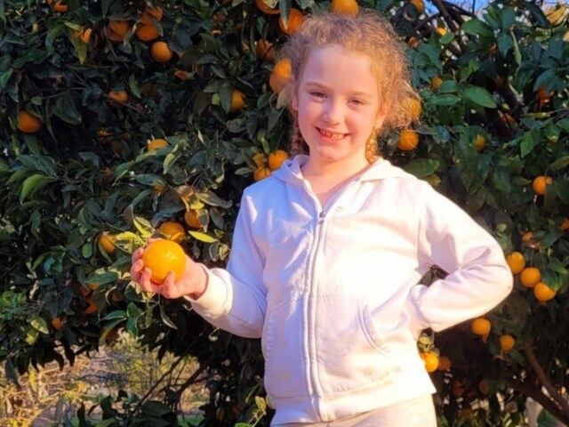 ‘Emily Only Talks in Whispers’: How Hamas Captivity Scarred Nine-Year ...