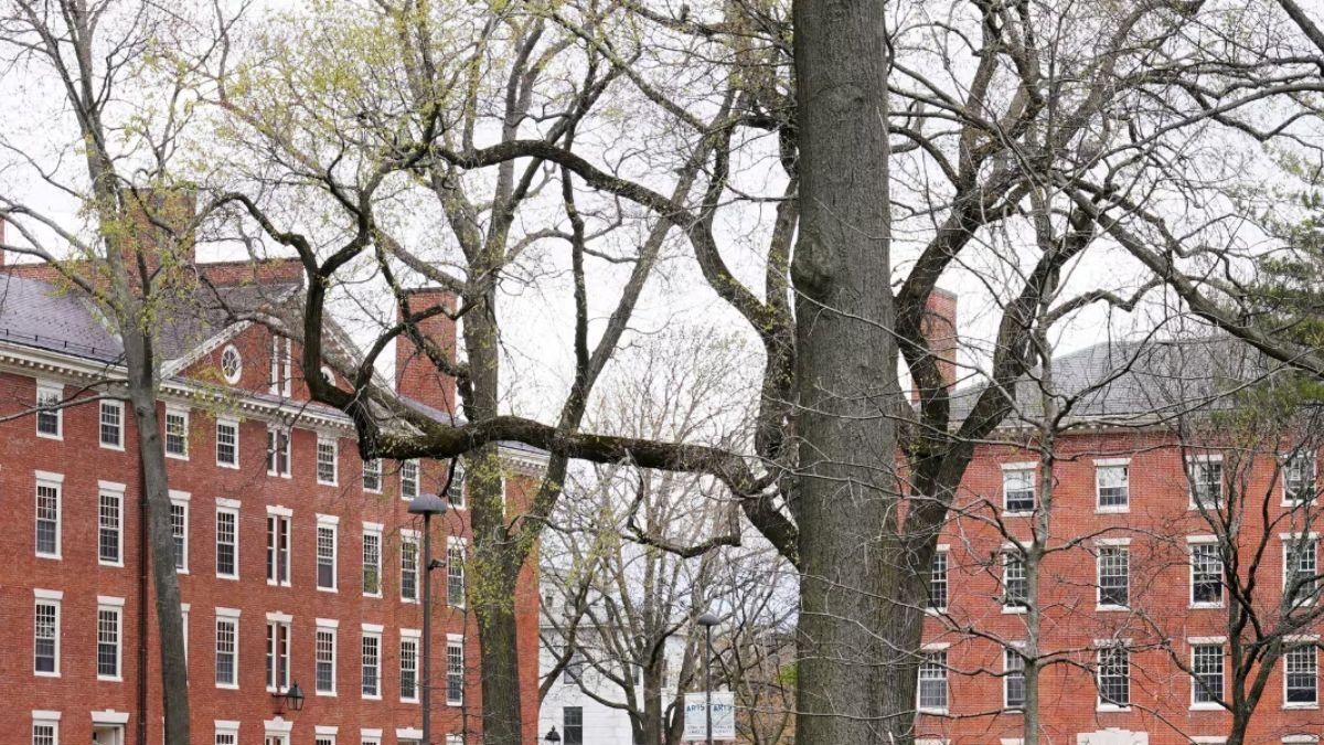 How Harvard University Offers Back Door For Super-Rich Students With ...