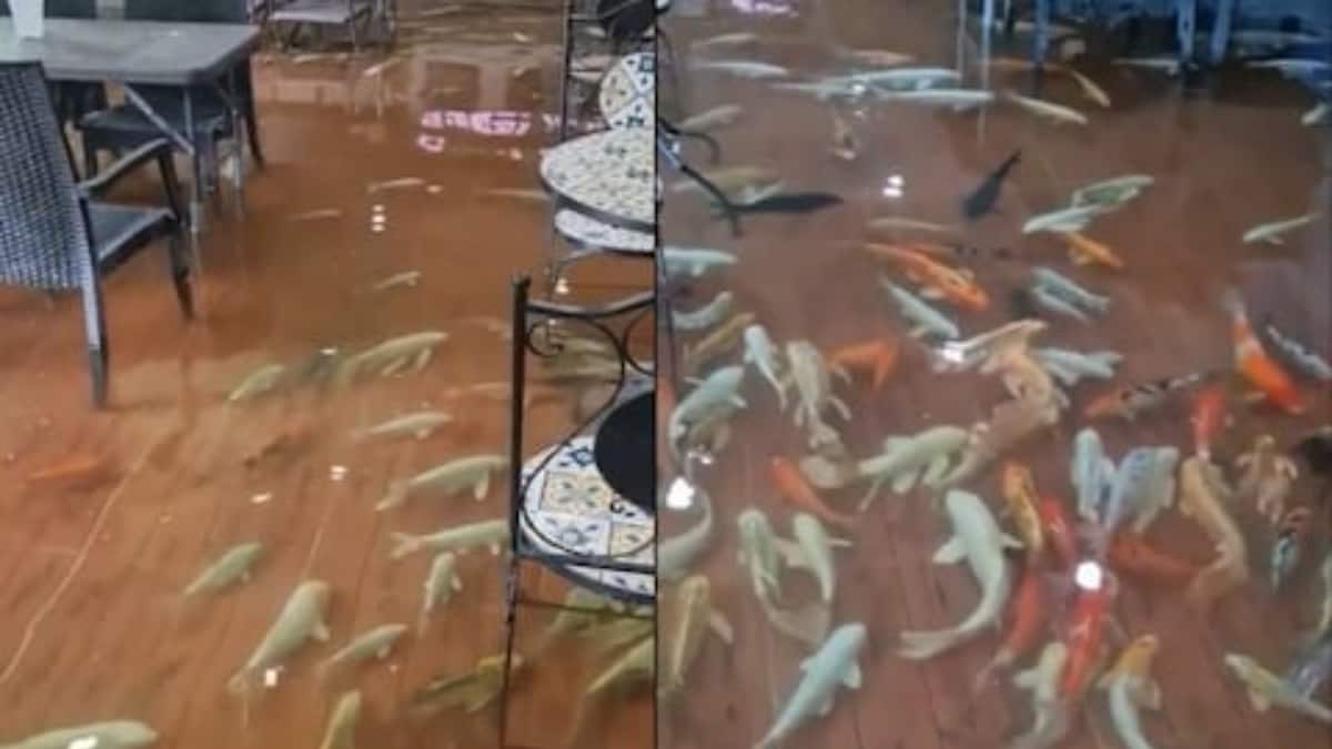 This Now-defunct Thailand Cafe Allowed Eating In Ankle-deep Water With ...