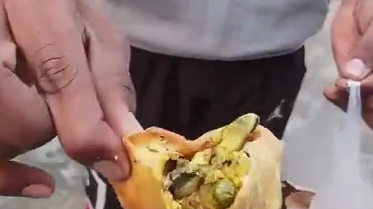 Samosa Served With Lizard At Street Shop Triggers Health Concern In UP ...