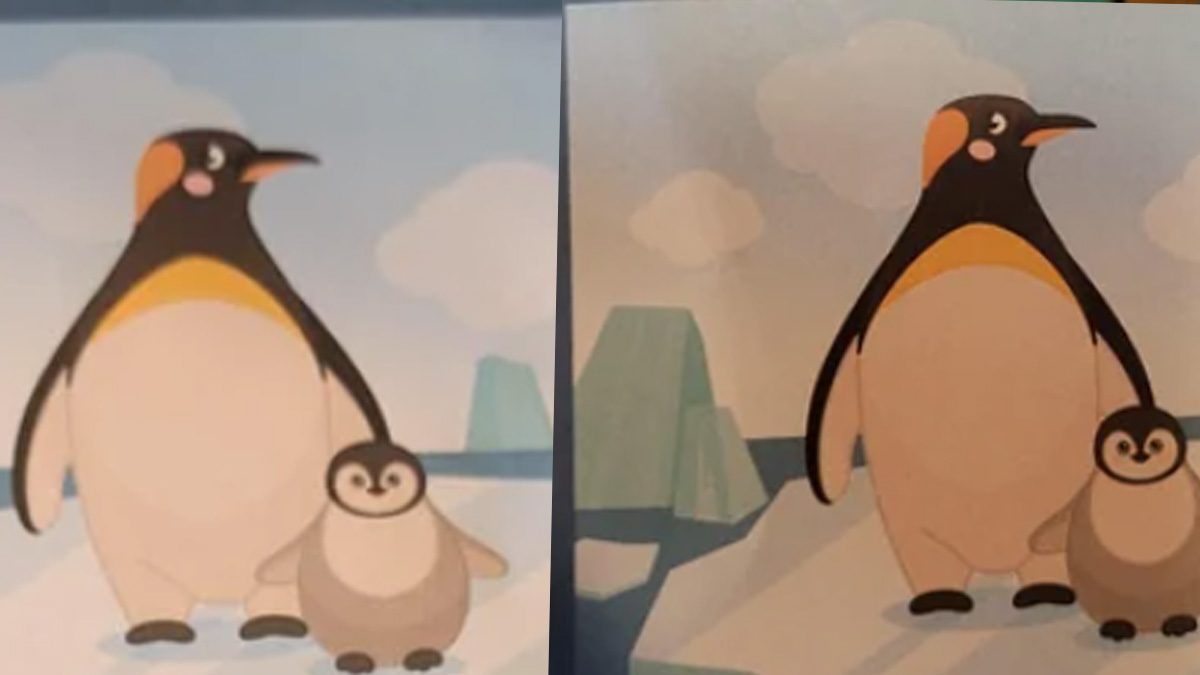 Can You Spot Any Difference Between These Two Pictures? | Viral News ...