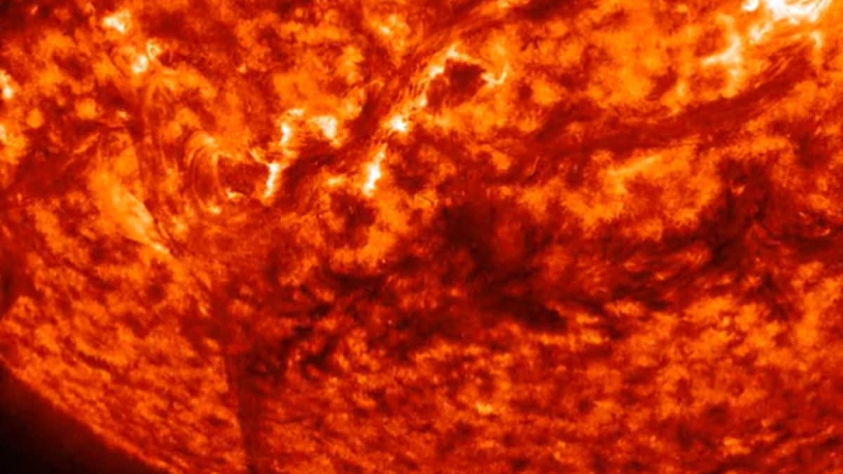 Watch: Massive And Scary 'Canyon Of Fire' Explodes From Sun On ...