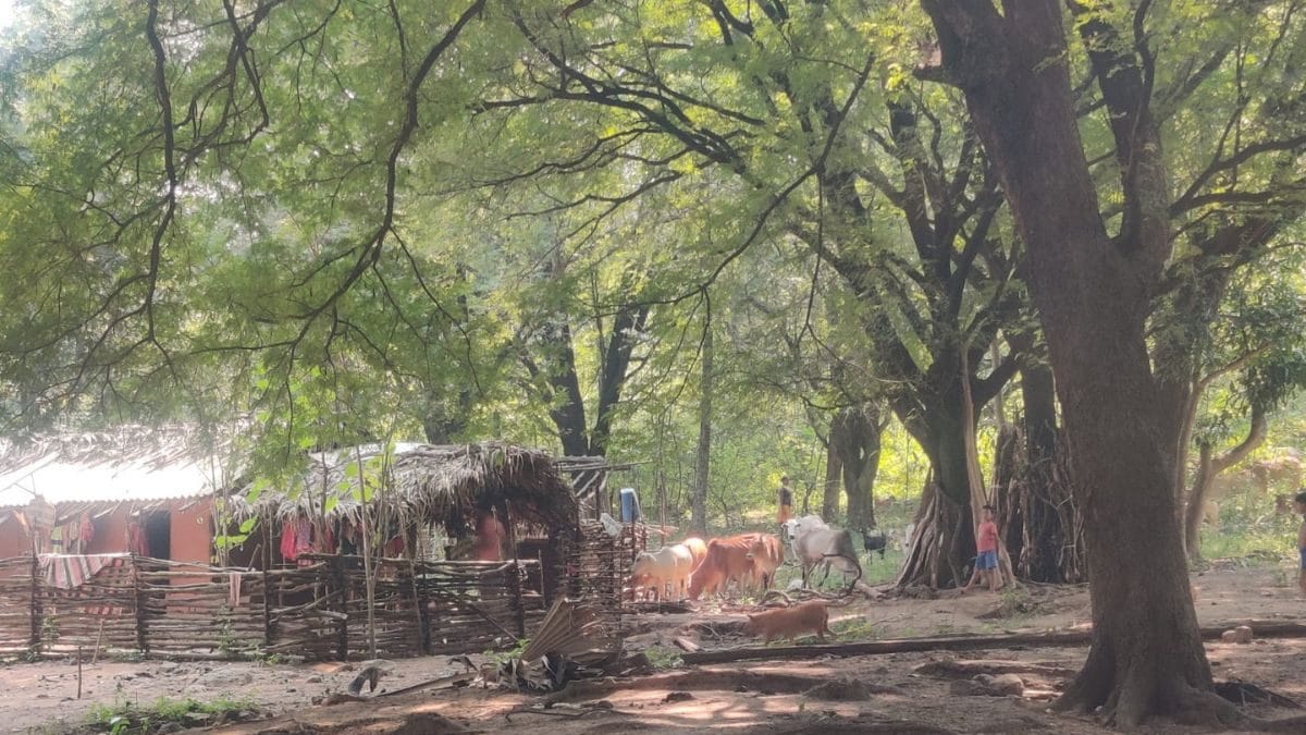 This Chhattisgarh Village is Living in Darkness Since Independence. Can ...