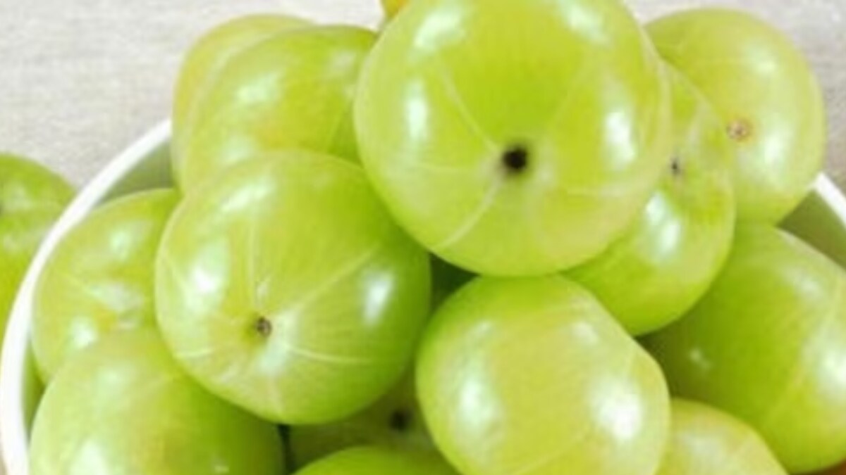 How Amla Can Help Control Blood Sugar Levels In Diabetic Patients - News18