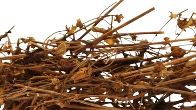 Purifying Blood To Strengthening Liver, 4 Health Benefits Of Chirata ...