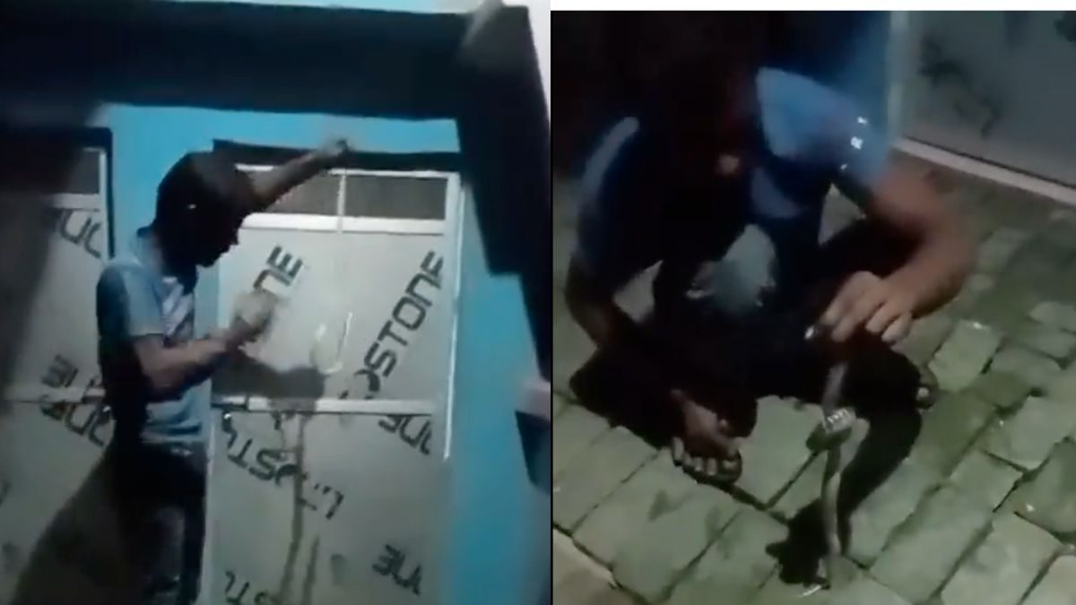 Drunk UP Man Plays With Snake, Gets Bitten, Dies. Video Goes Viral ...