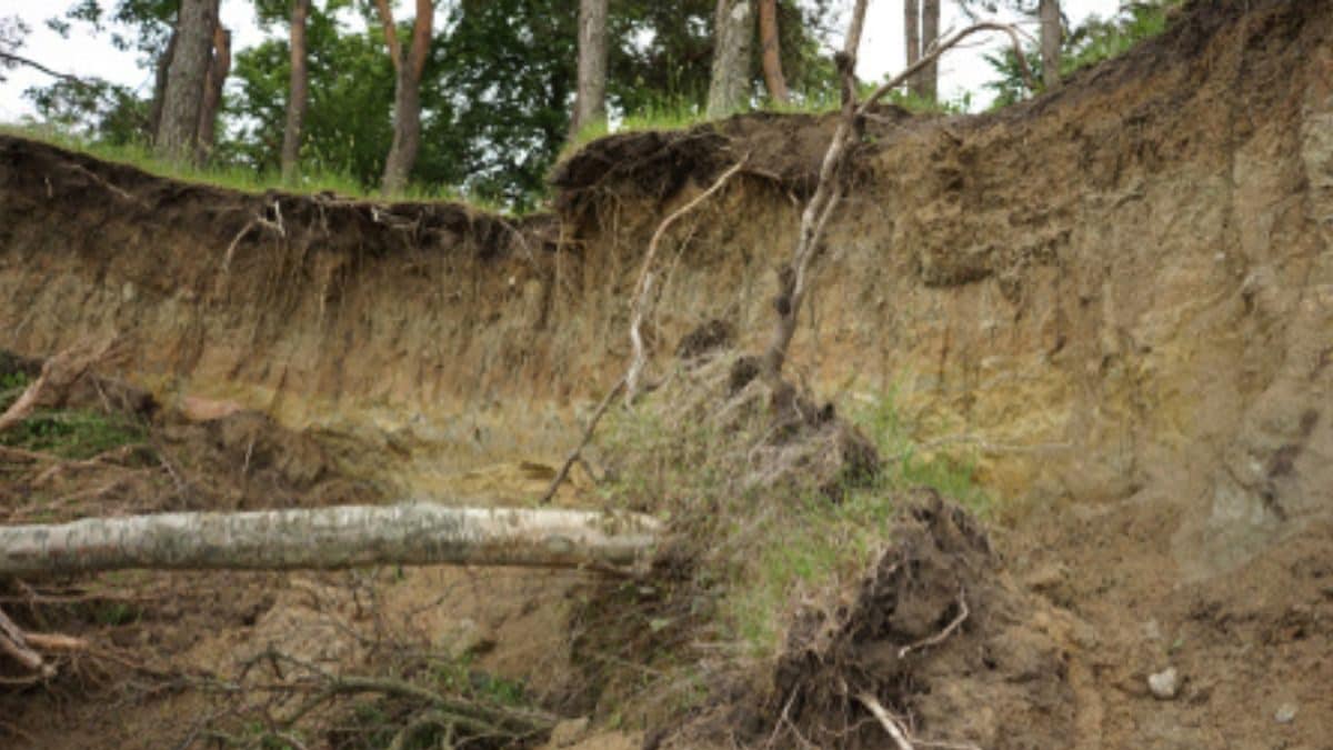 Latest Study Reveals Alarming Rate of Soil Erosion in Western Ghats ...