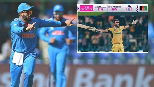 'World Cup Used to Be Competitive': Cricket Fan Calls WC 2023 Boring ...