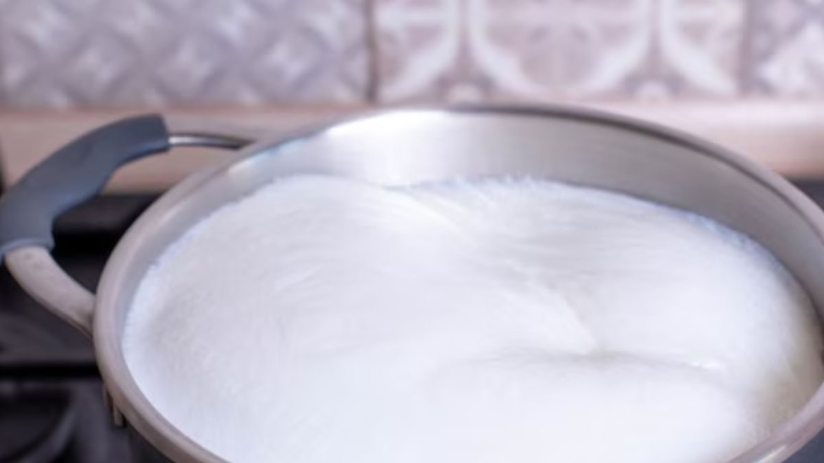 Why Does Milk Overflow When Boiled? Quora Users Answer | Viral News ...