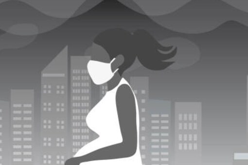 Experts Talk About Air Pollution: How It Affects Pregnancy, And Its ...
