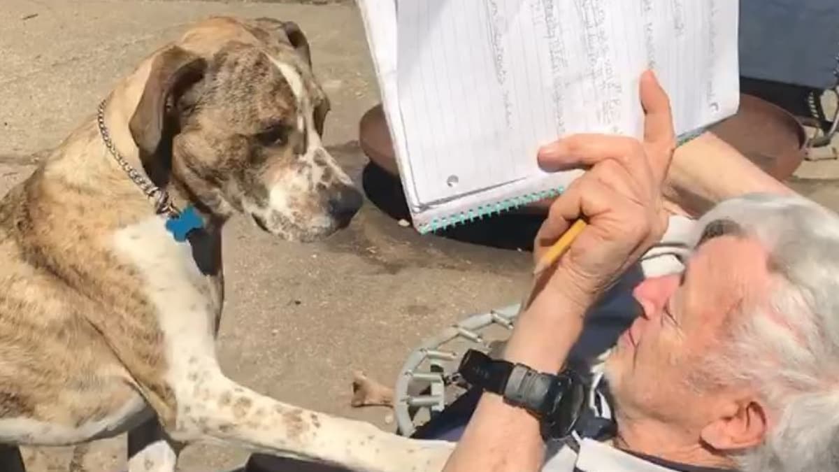 Grandpa, Who Became A Meme For Accidentally Eating Paint, Dies | Viral ...