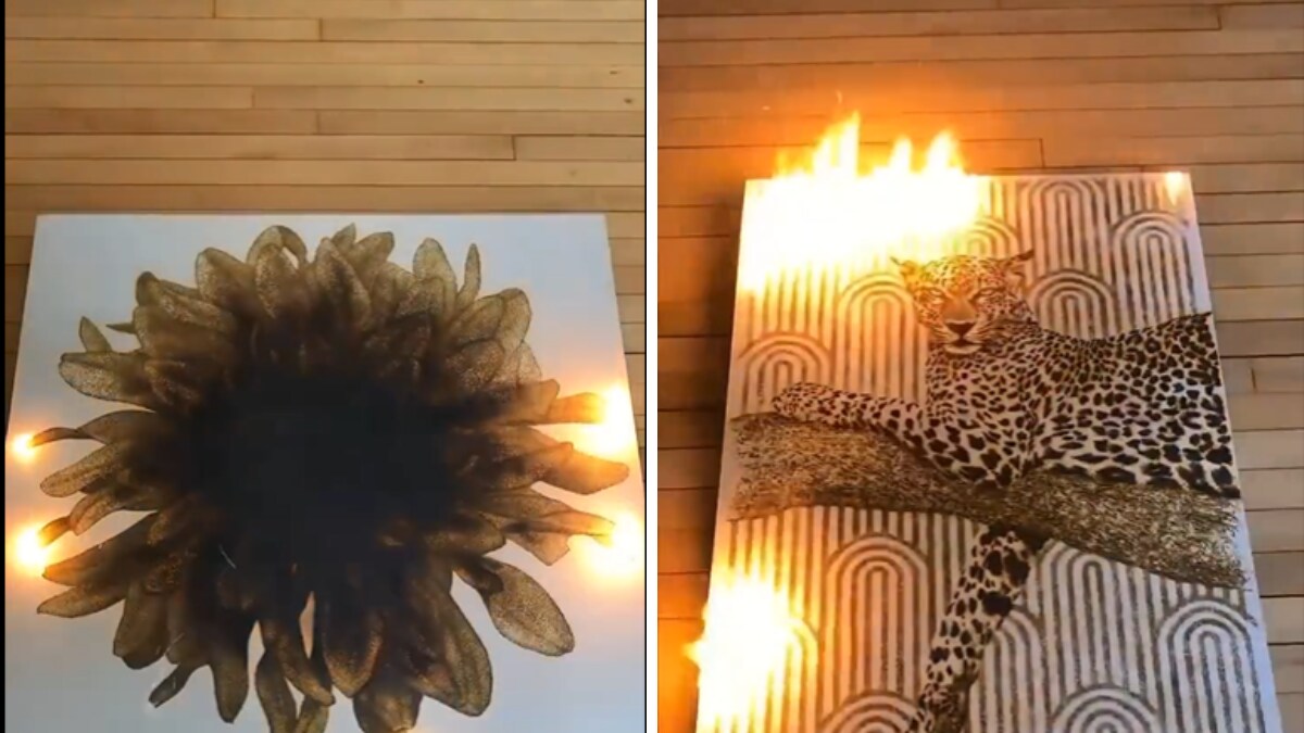 Watch: Man Sets His Gunpowder Art On Fire; The Result Is Stunning ...