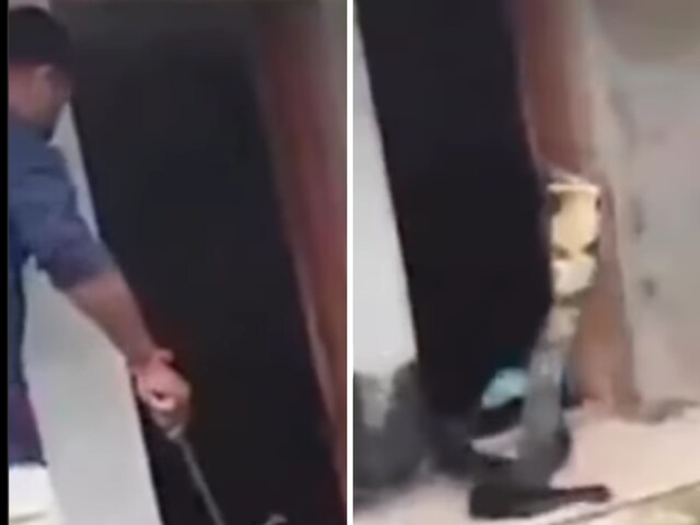 Don't Blink Else You Will Miss The Face-Off Between Man And King Cobra ...