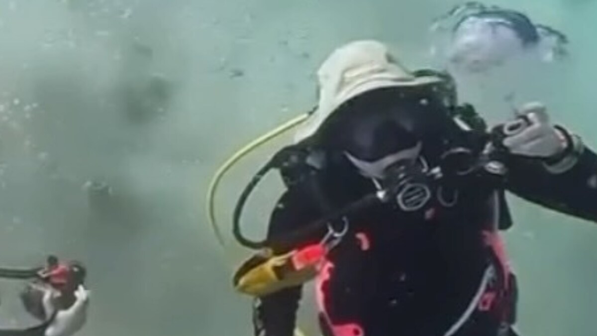 Scuba Divers Capture Rare Footage of Earthquake Under Ocean In Chilling Video | Viral News - News18